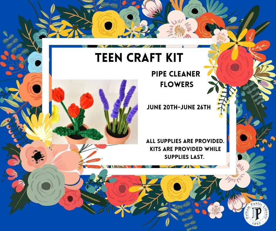 Teen Craft Kits | Pelham Public Library